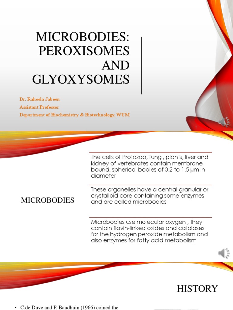 An In-Depth Look at Peroxisomes and Glyoxysomes: Structures, Functions ...