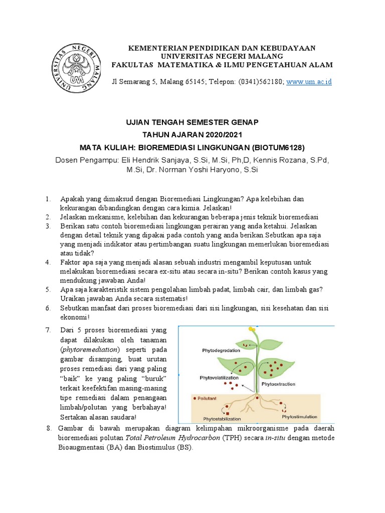 Proses dan Contoh Bioremediasi Lingkungan | PDF | Sains & Matematika