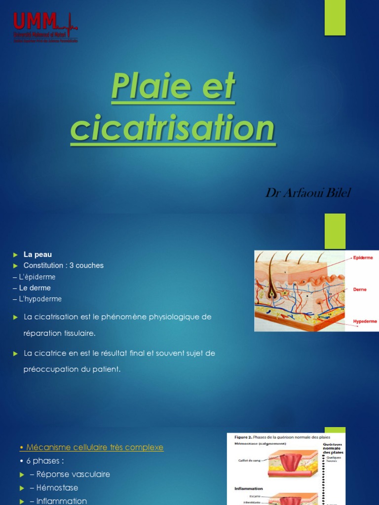 Phases de cicatrisation cutanée | PDF | Cicatrice | Inflammation