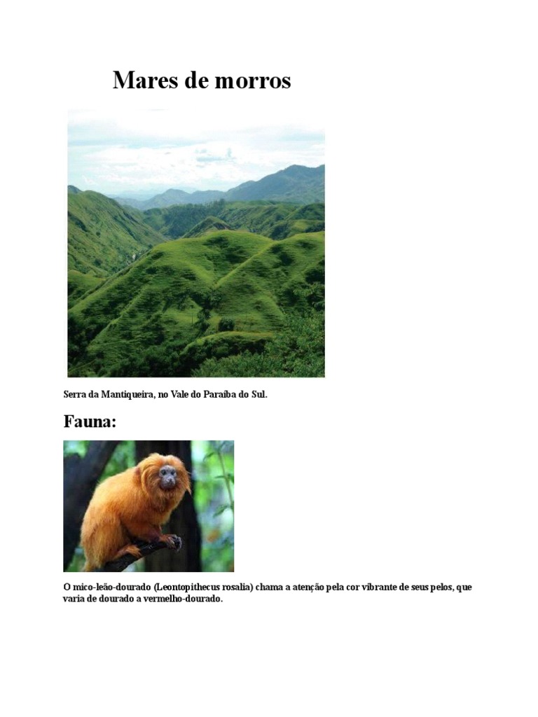 Trabalho Mares de Morros | PDF | Mar | Geografia Física