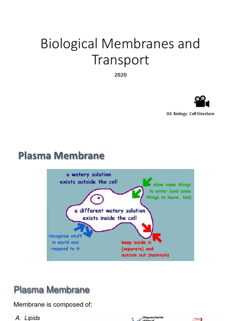 Biological Membranes and Transport and Biosignaling | PDF | Cell Membrane | Lipid