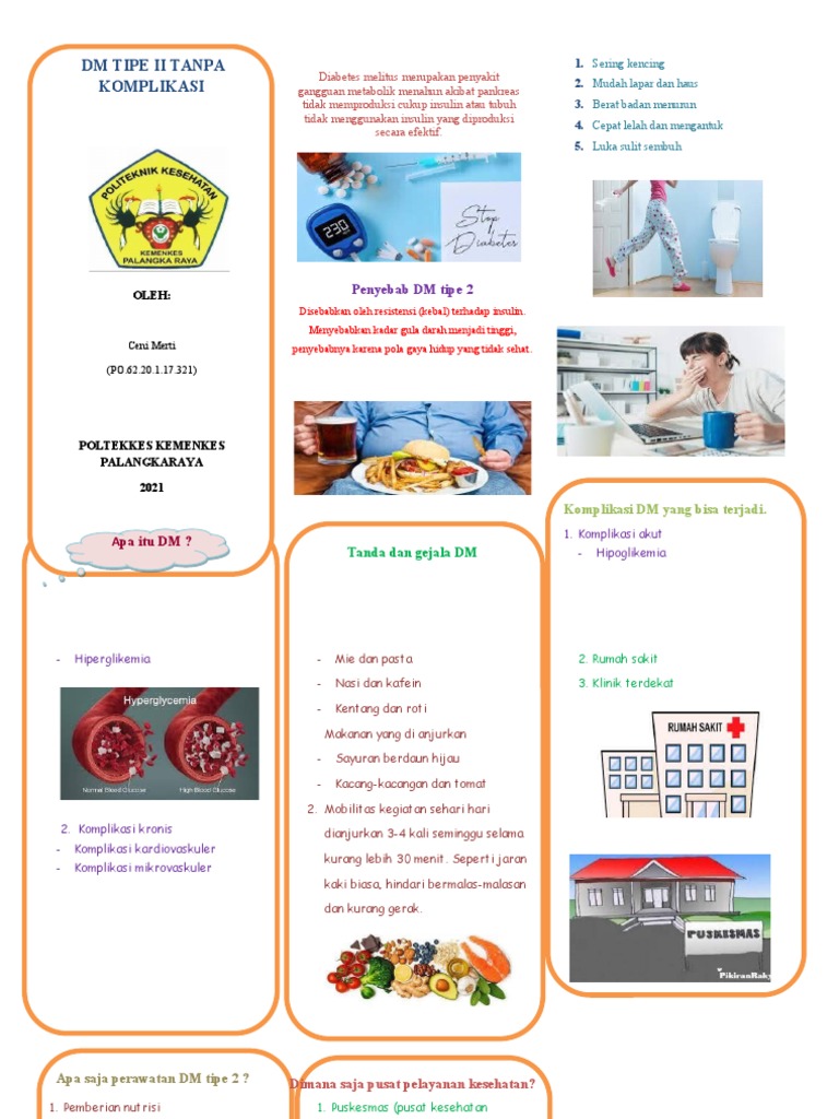 Leaflet DM Tipe 2 | PDF