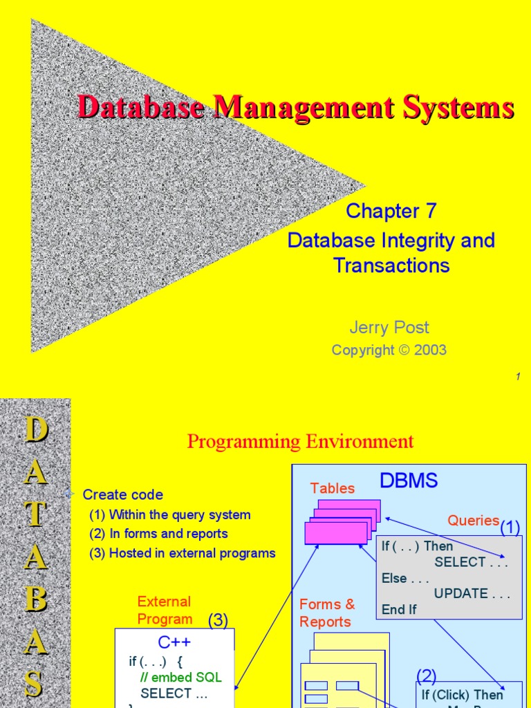Database Management Systems Pdf Database Transaction Data