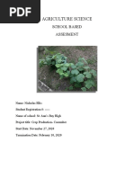 Agricultural Science - SBA MARKING SCHEME | PDF | Information | Data