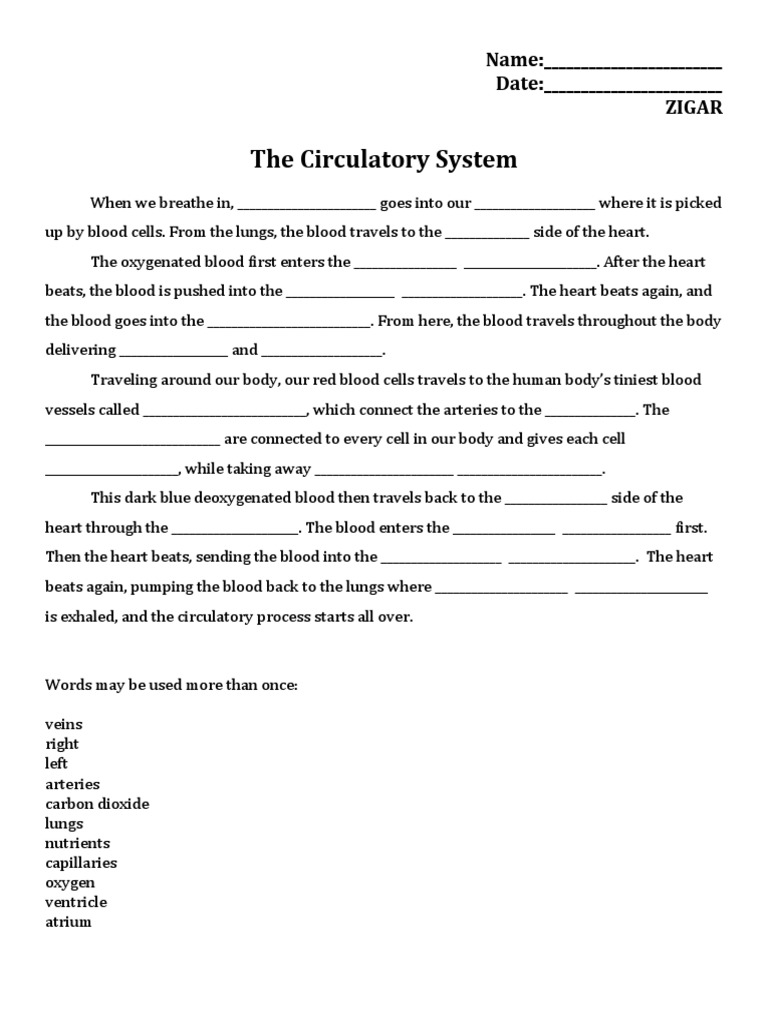 The Circulatory System: Name: - Date: - Zigar | PDF | Blood | Heart