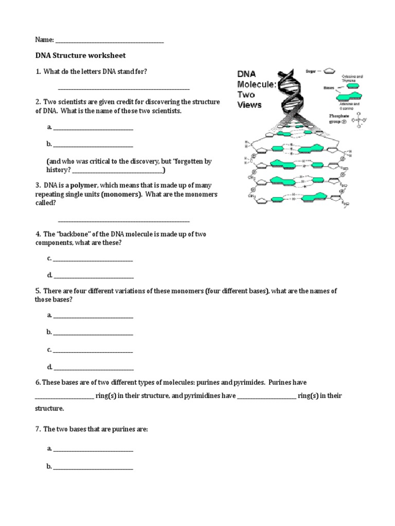Dna Worksheet DNA Mutations Reading And Worksheet Flying Colors