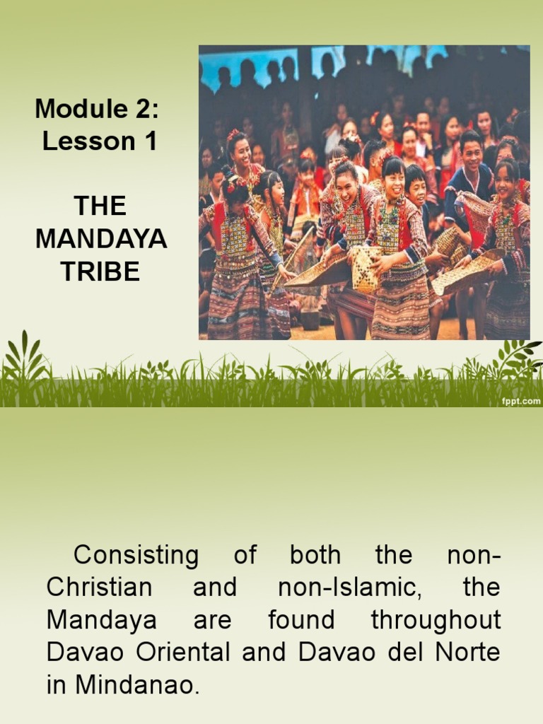 Module 2 Lesson 1 - The Mandaya Tribe-1 | PDF | Blouse | Softlines (Retail)