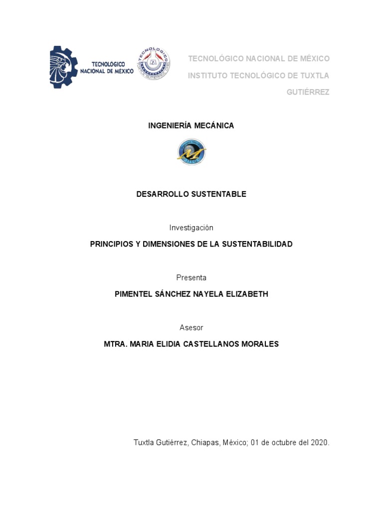 Principios y Dimensiones de La Sustentabilidad | PDF | Sustentabilidad | Desarrollo sostenible