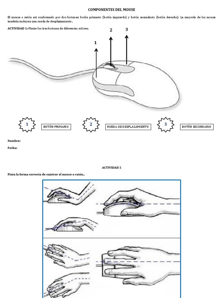 Partes Del Mouse | PDF