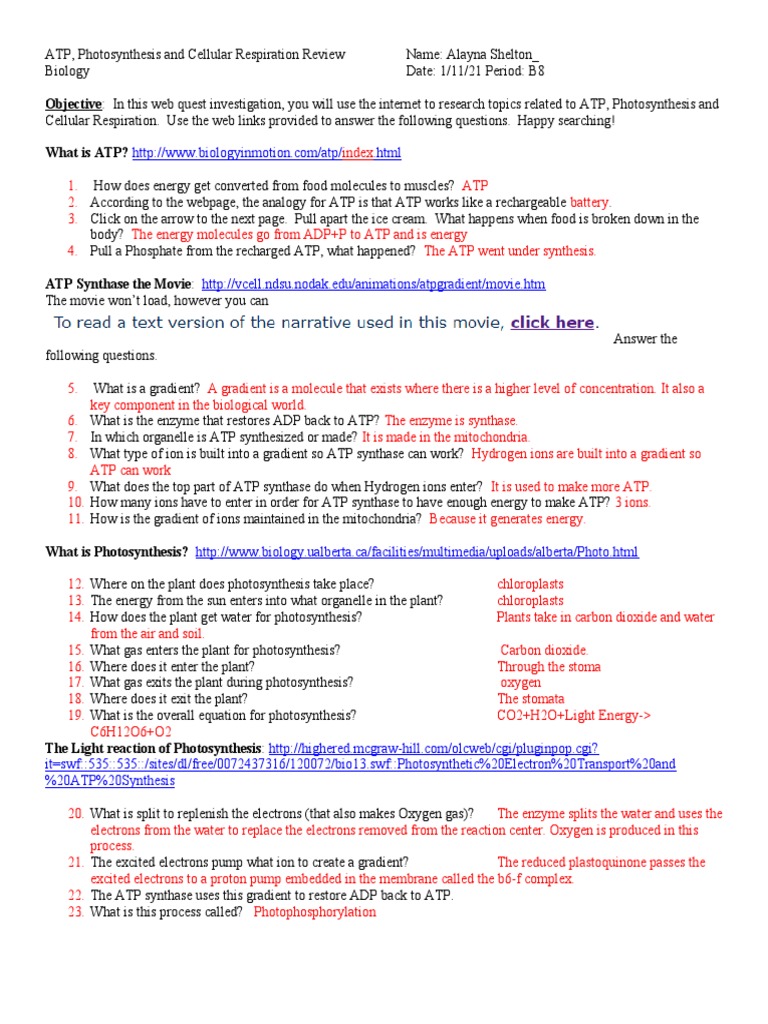 ATP Photosynthesis Respiration Webquest Review | PDF | Photosynthesis ...