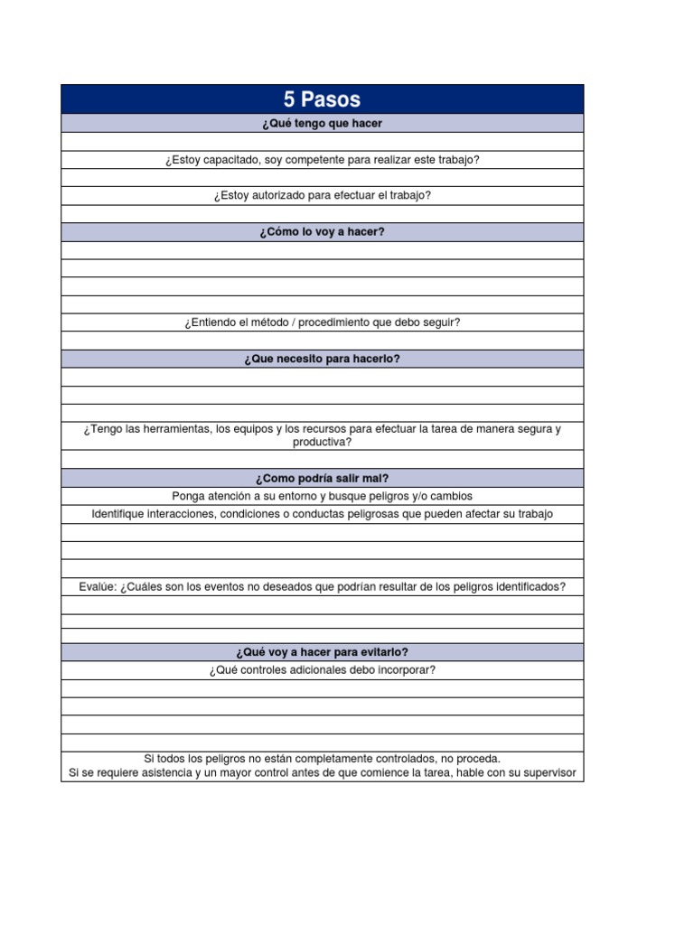 Formato 5 Pasos | PDF