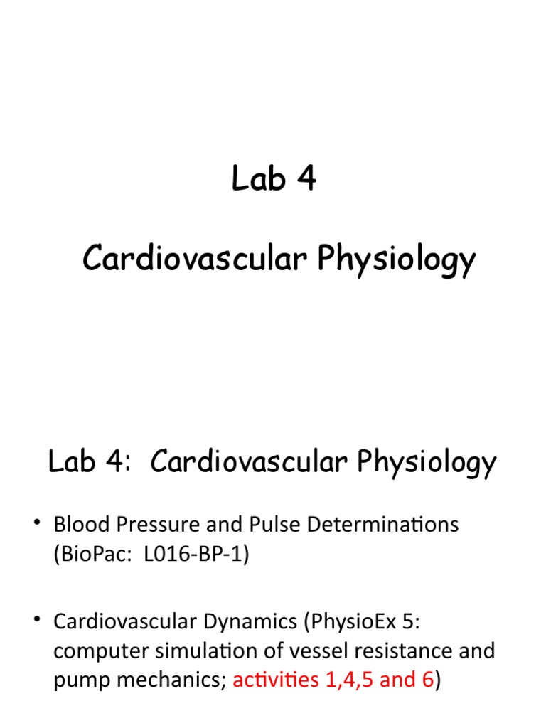 Lab 04-Cardiovascular Physiology | PDF | Blood Pressure | Pulse