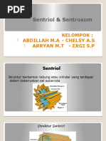 Kelompok 6 - Sentriol & Sentrosom | PDF