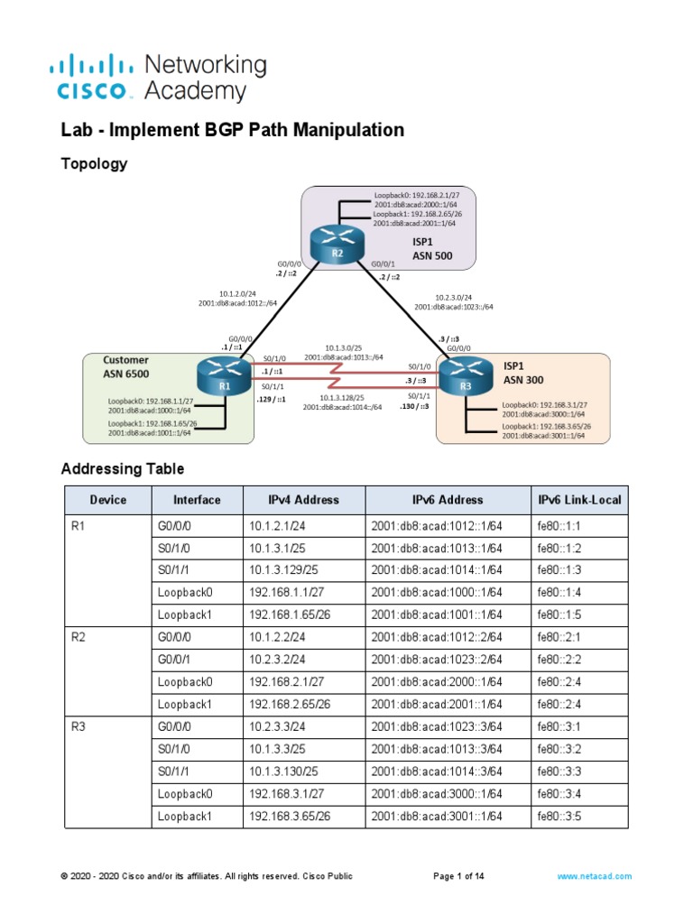 12.1.2 Lab - Implement BGP Path Manipulation | PDF | I Pv6 | Ip Address
