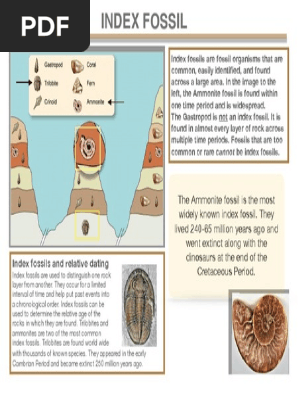 Index Fossils For Kids
