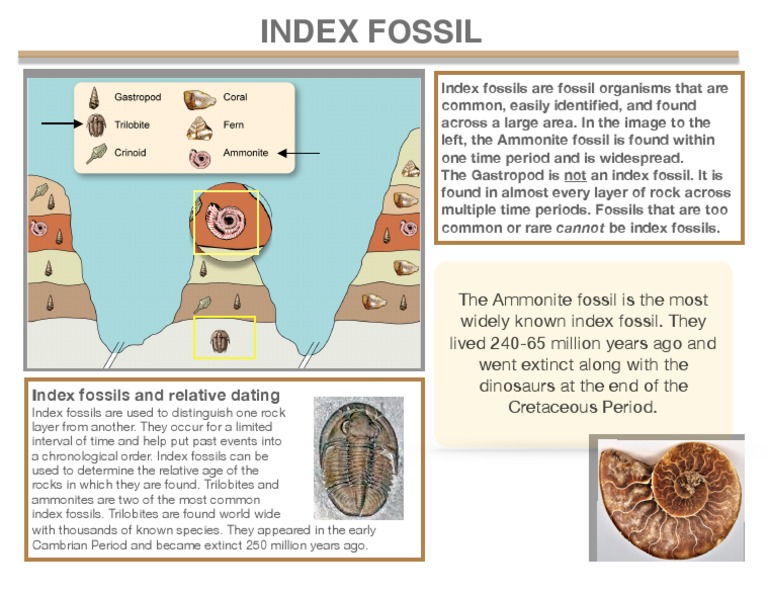 Index Fossils