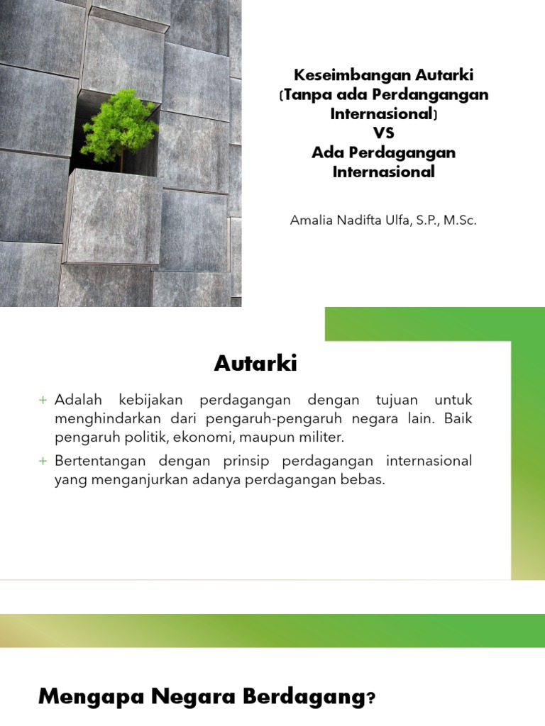 Keseimbangan Autarki (Tanpa Ada Perdangangan Internasional) | PDF | Bisnis