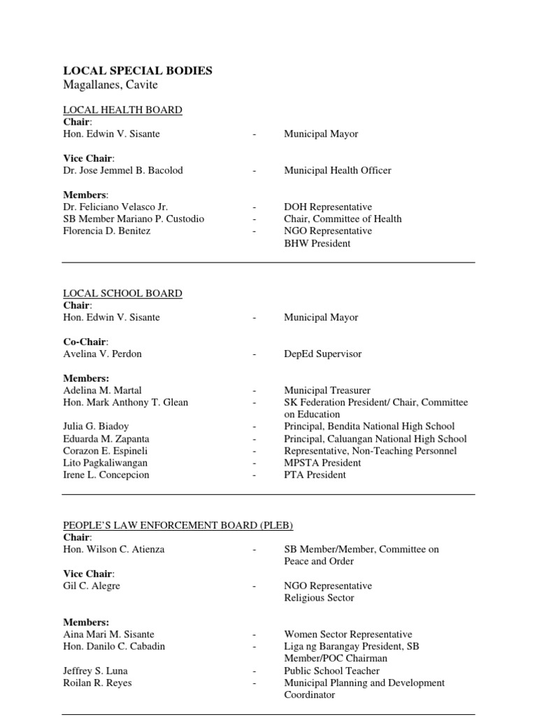 Magallanes Local Governance Boards | PDF | Philippines | Local Government