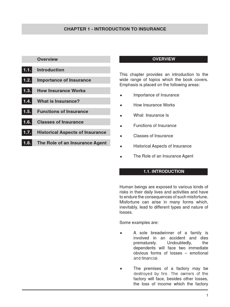 Introduction to Insurance Basics | PDF | Insurance | Risk