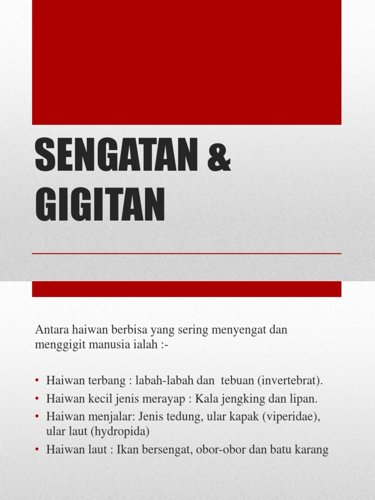 Pertolongan Cemas Sengatan Berbisa | PDF