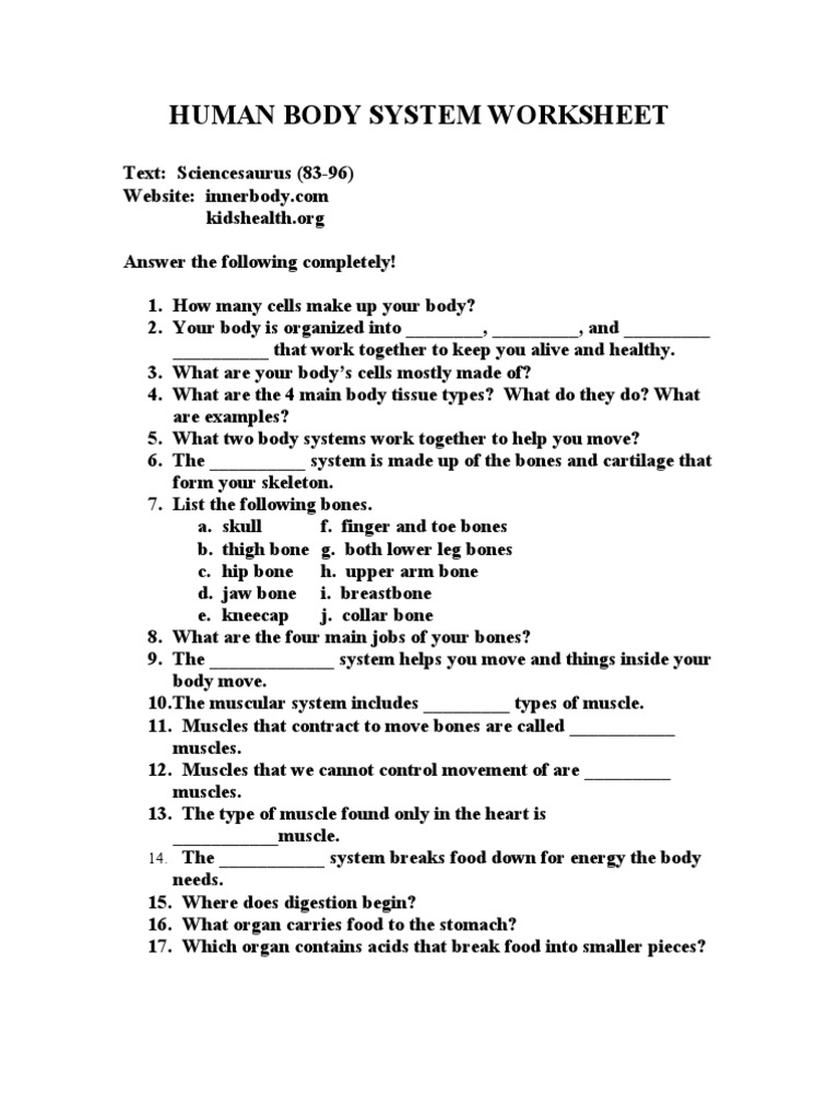 Human Body System Worksheet | PDF | Human Body | Bone