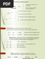 Prueba de Llenado Capilar: Procedimiento y Valores | PDF