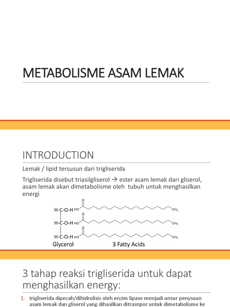 Metabolisme Asam Lemak | PDF