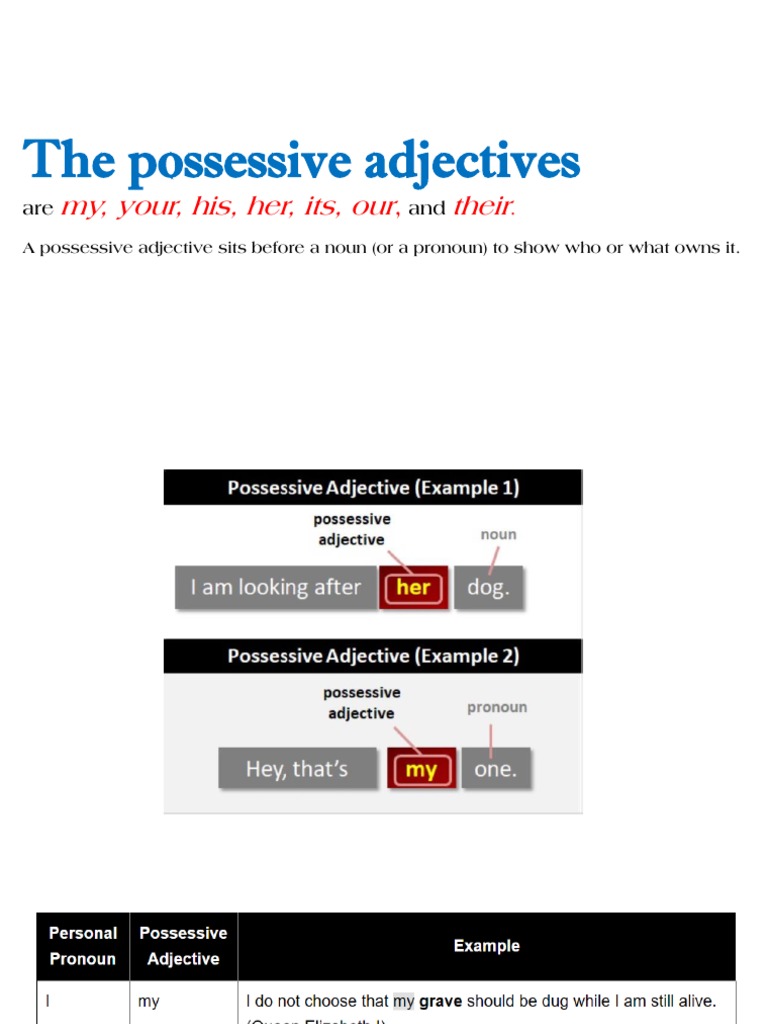 The Possessive Adjectives: My, Your, His, Her, Its, Our Their | PDF