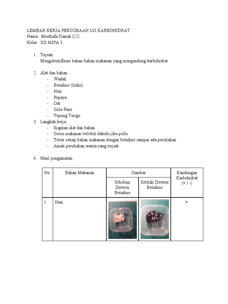 LK Uji Karbohidrat | PDF