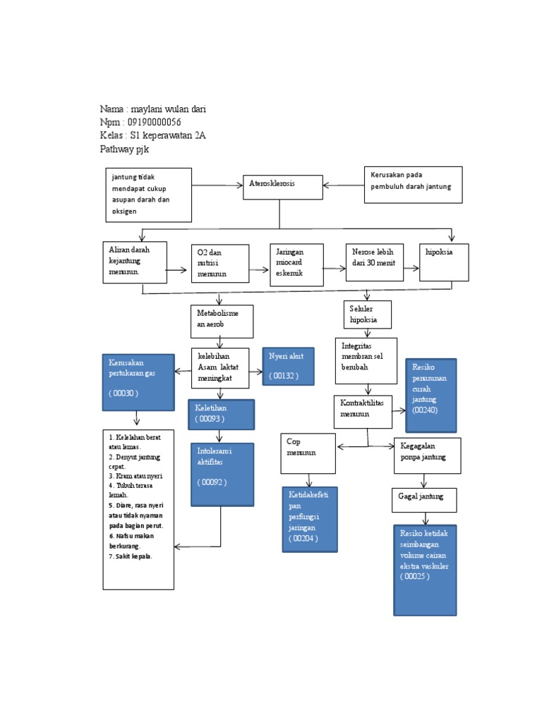 Bagi Pathway PJK | PDF