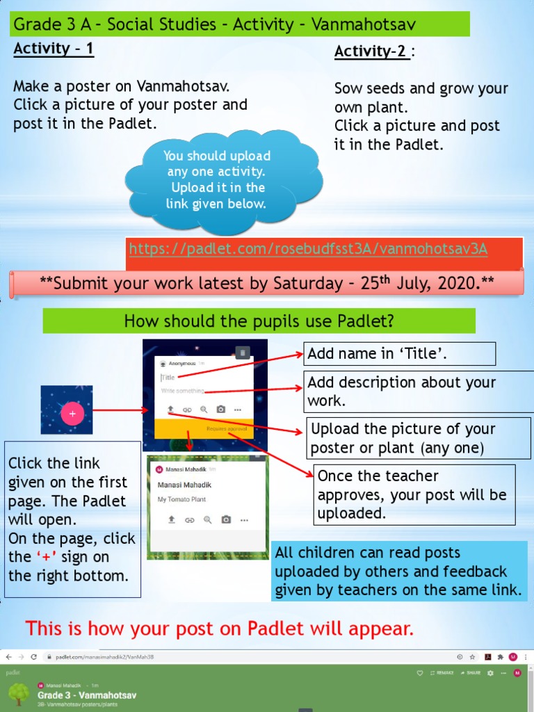 Grade 3 A - Social Studies - Activity - Vanmahotsav | PDF