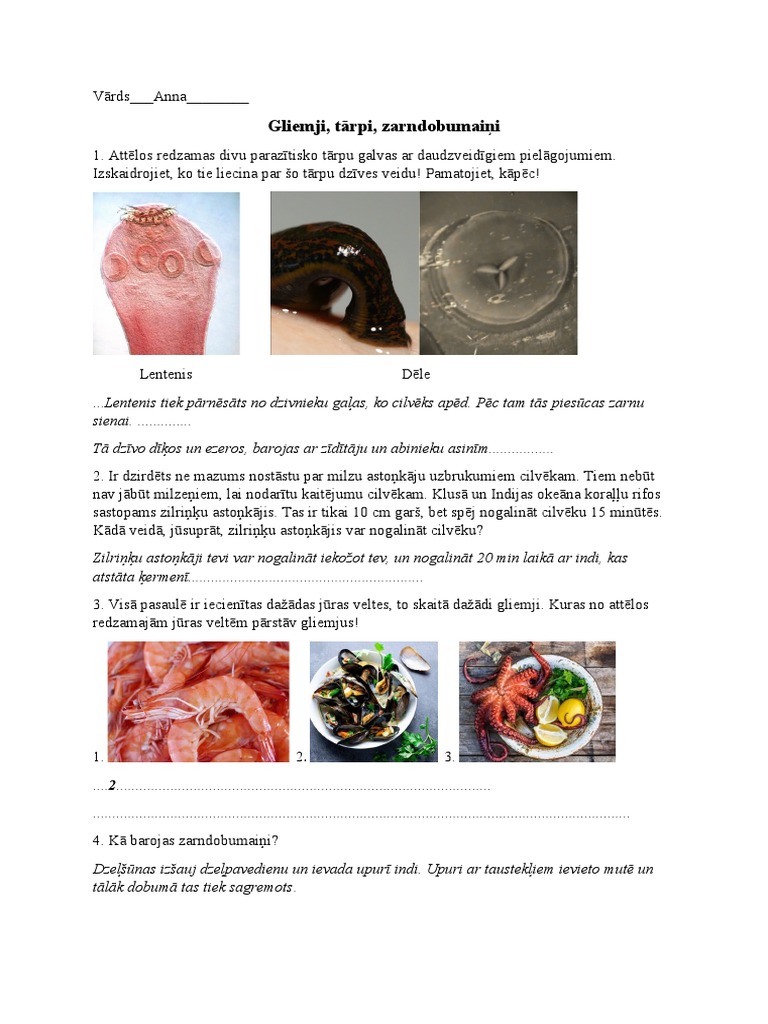 Gliemji Tārpi Zarndobumaiņi | PDF