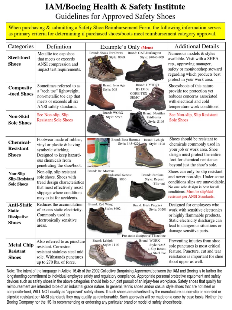 Safety Shoe Examples | PDF | Shoe | Safety