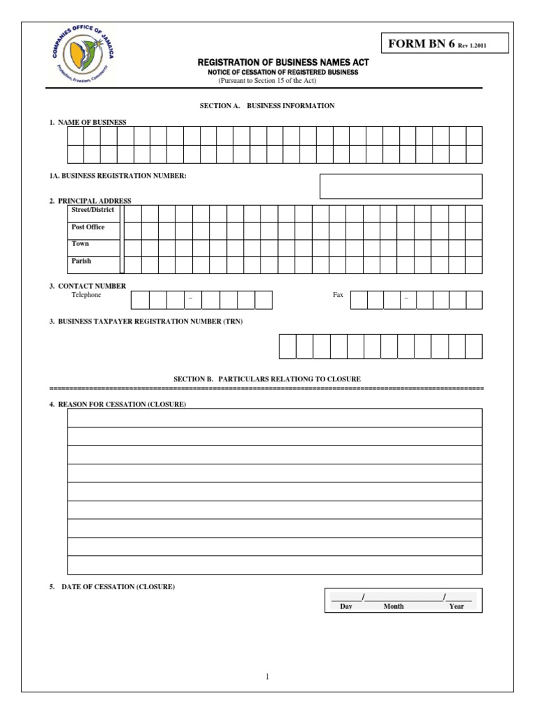 Form BN 6: Registration of Business Names Act | PDF | Signature ...