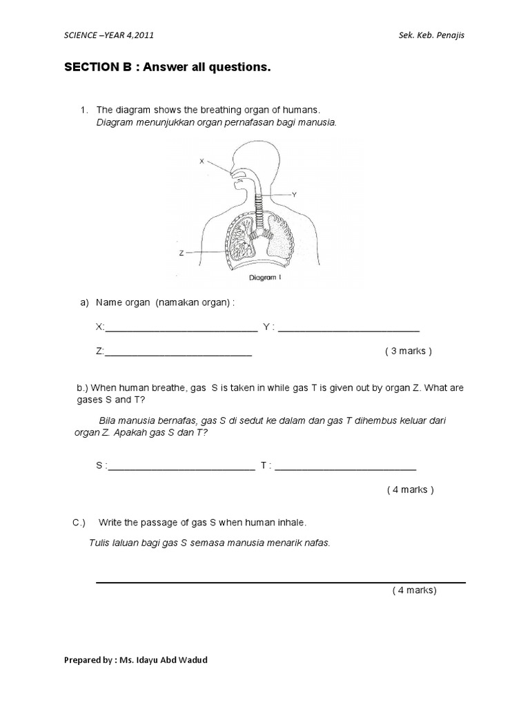 SECTION B: Answer All Questions.: SCIENCE - YEAR 4,2011 Sek. Keb ...