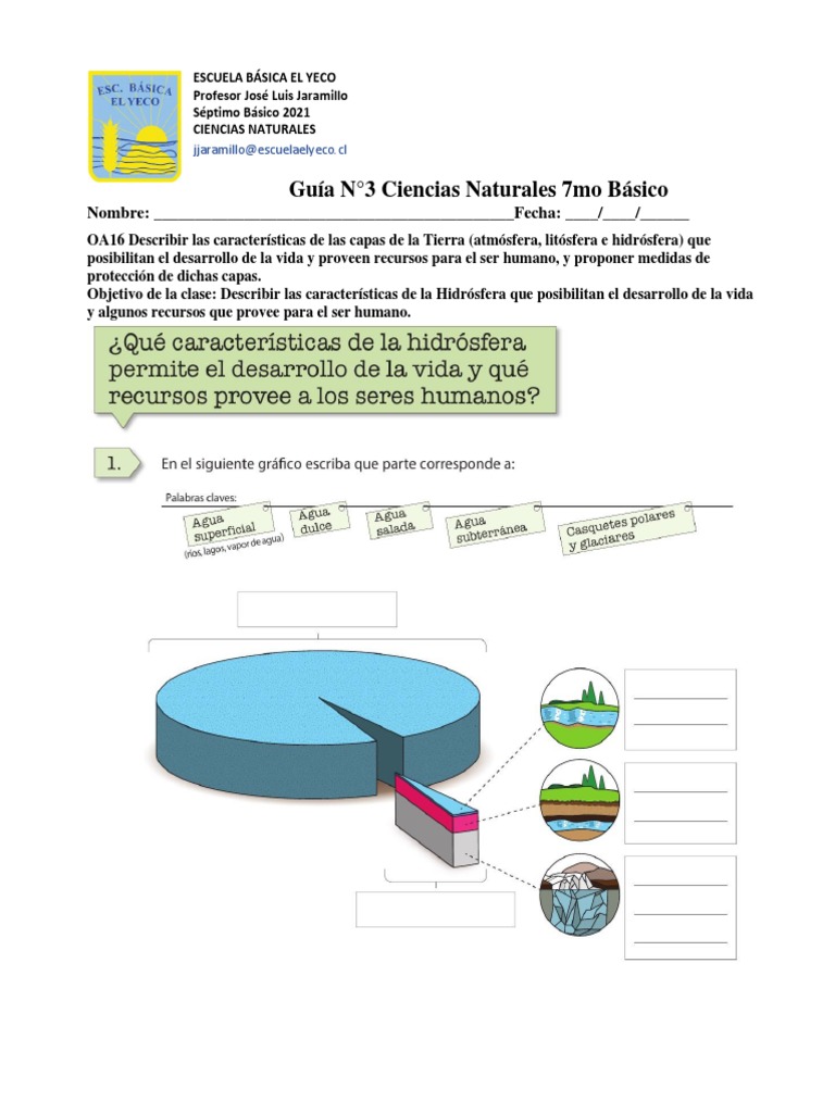Guía N°3 7° Ciencias | PDF