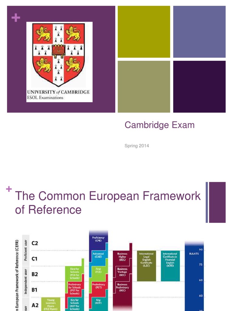 CAE Exam Preparation Guide | PDF | Multiple Choice | Linguistics