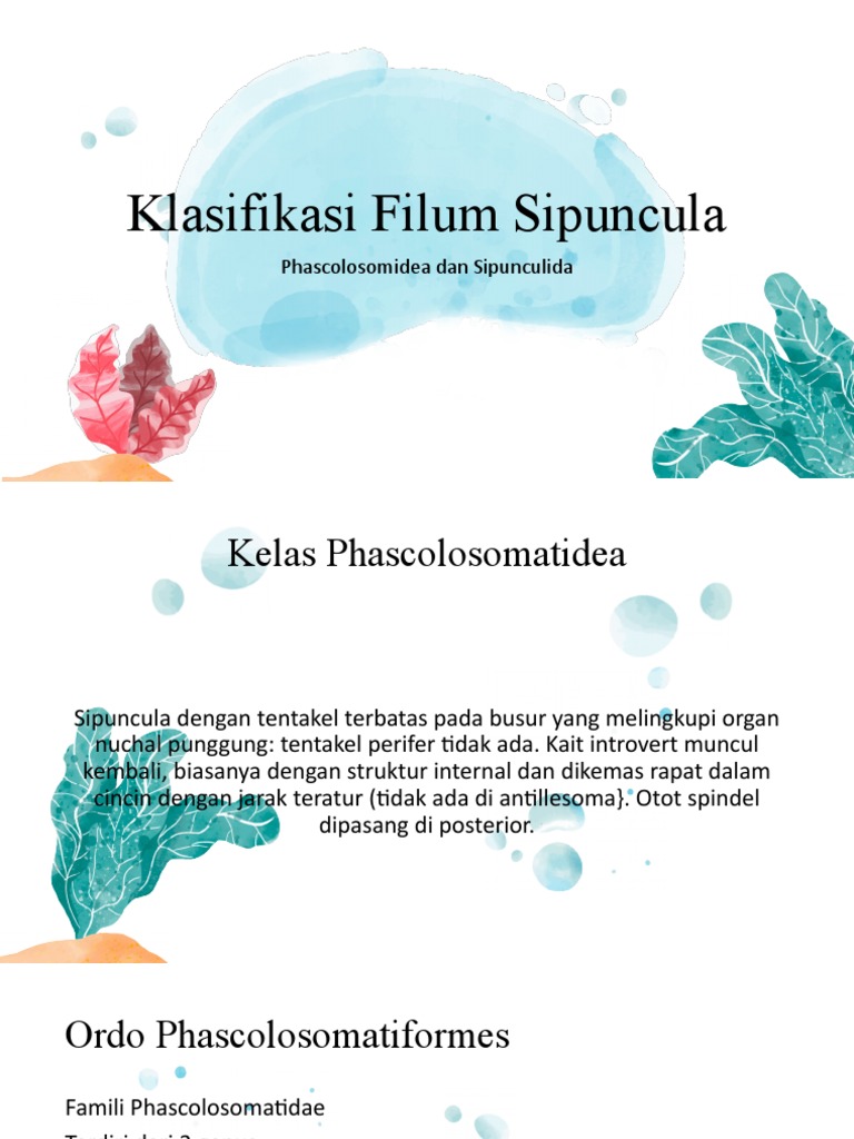 Klasifikasi Filum Sipuncula | PDF