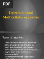 Unicellular and Multicellular Worksheet | PDF | Cell (Biology) | Organisms