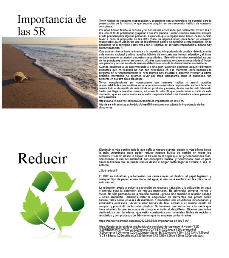 Importancia de Las 5R y Reducir | PDF | Consumo (economía) | Residuos