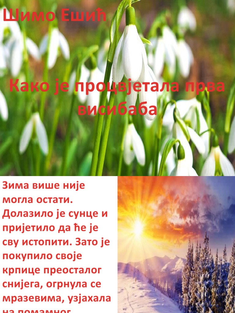 Kako Je Procvjetala Prva Visibaba Šimo Ešić | PDF