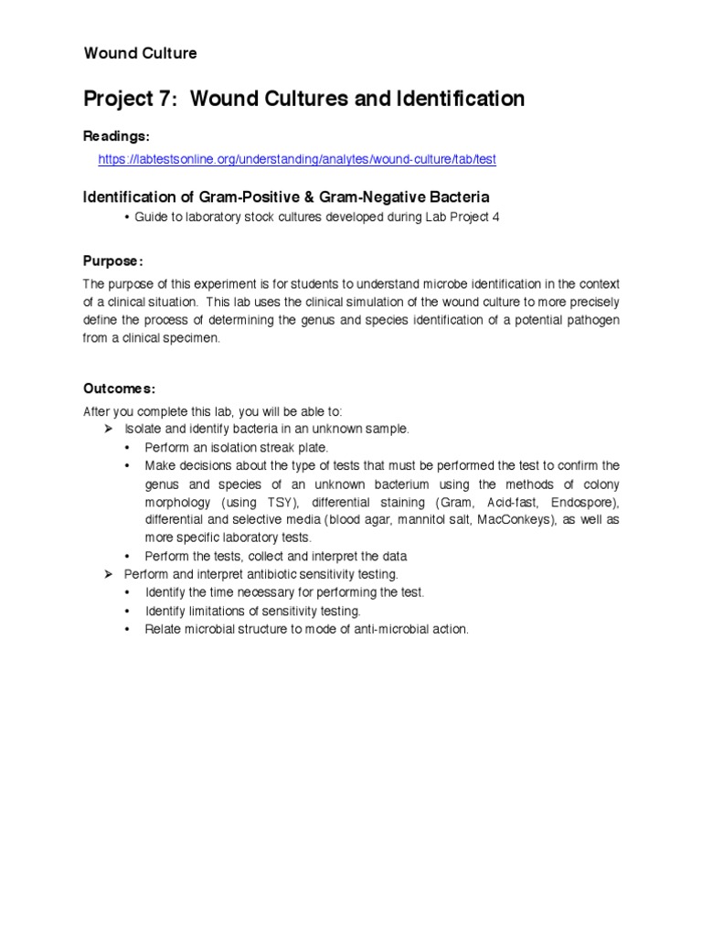 Project 7: Wound Cultures and Identification | PDF | Bacteria | Growth ...