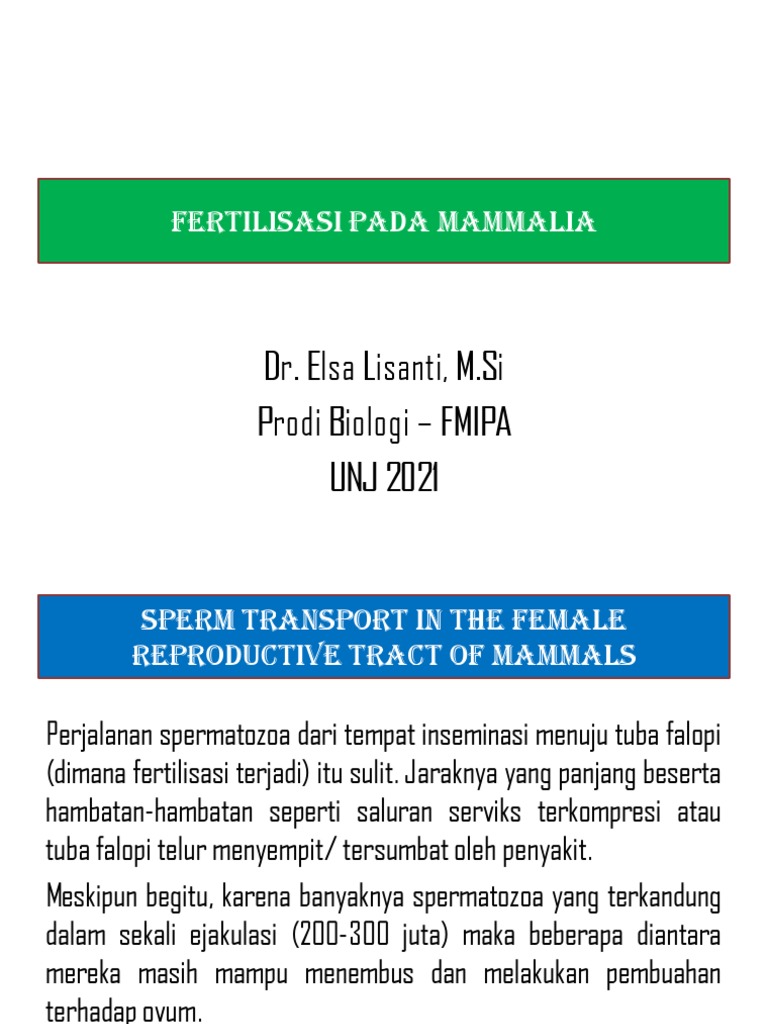 Fertilisasi Mammalia dan Hambatannya | PDF | Sains & Matematika