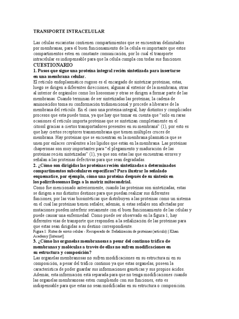Transporte Intracelular | PDF | Proteínas | Lisosoma