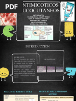 Bula Candiprin | PDF | Ciencias de la Salud | Enfermedades y trastornos