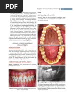 Deciduous Teeth Identification Guide | PDF | Dental Anatomy | Tooth