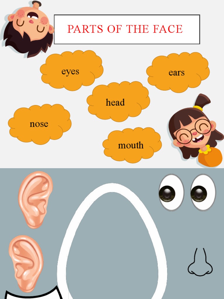 Transition Parts of The Body | PDF