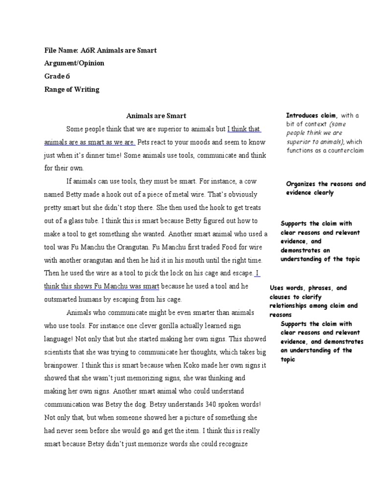 Animals Demonstrating Intelligence | PDF | Reason | Essays