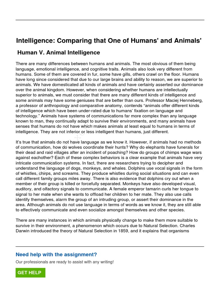 Animal Intelligence Explored | PDF | Intelligence | Human