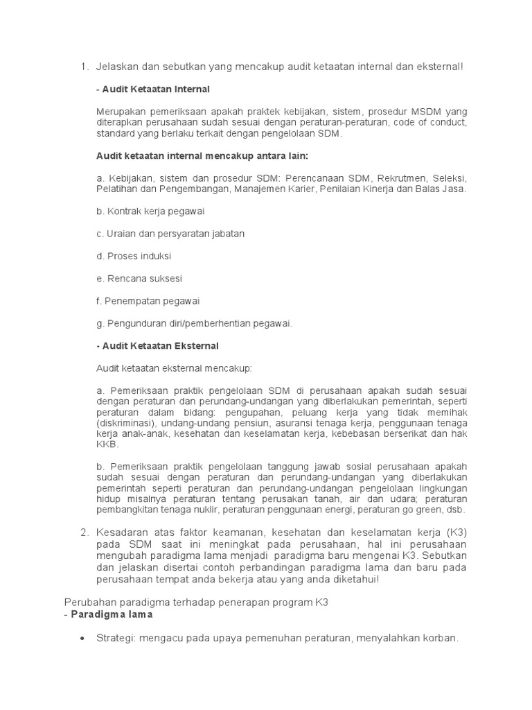 Diskusi mgg8 Audit SDM | PDF